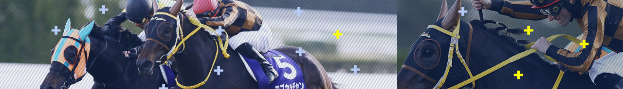 International Horse Racing: Rules